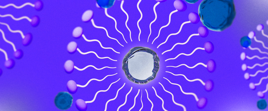 The science of clean hair | K18 Hair