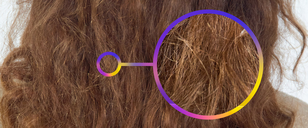 The Truth Behind Tangles | K18 Hair